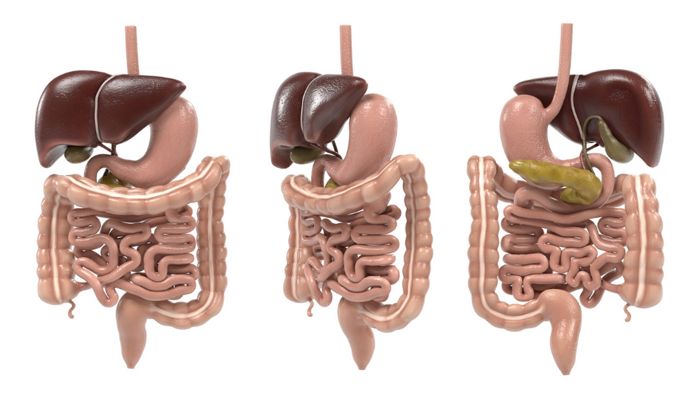 General Surgery – Fibemed Healthcare